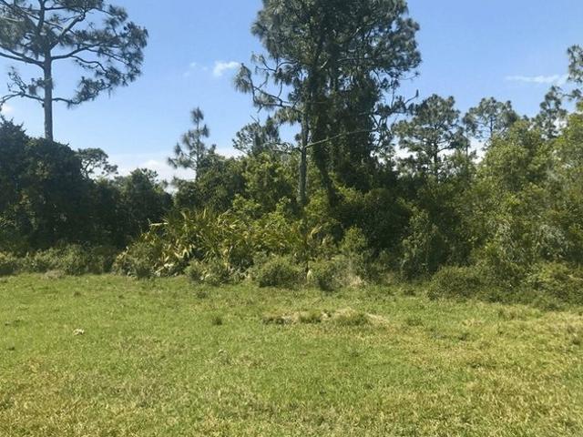 Holopaw Groves Rd, Saint Cloud, FL 34772