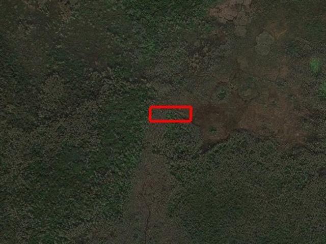 Holopaw Groves Rd, Saint Cloud, FL 34772
