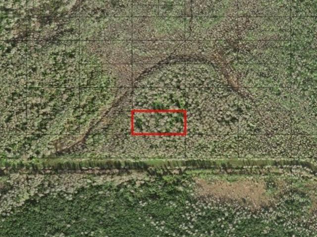 Holopaw Groves Rd, Saint Cloud, FL 34772