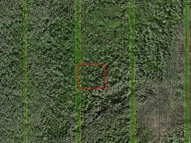 Holopaw Groves Rd, Saint Cloud, FL 34772