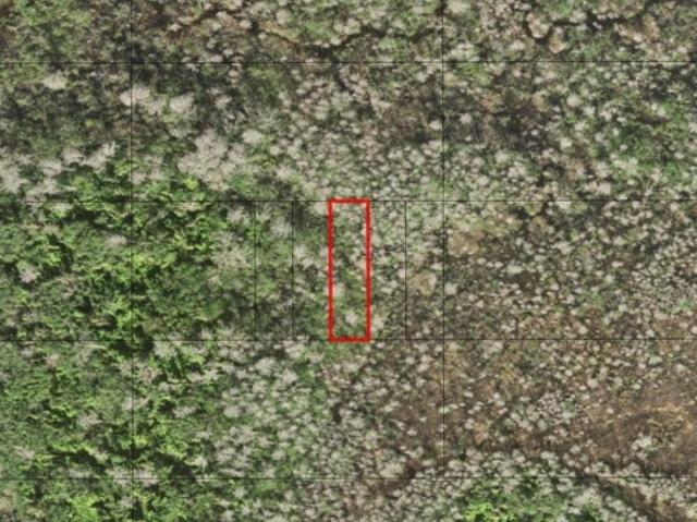 Holopaw Groves Rd, Saint Cloud, FL 34772