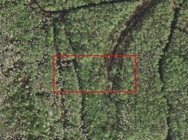 Holopaw Groves Rd, Saint Cloud, FL 34772