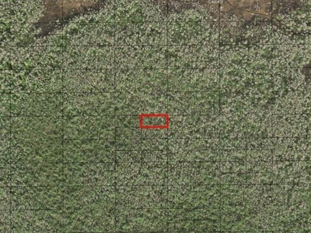 Holopaw Groves Rd, Saint Cloud, FL 34772