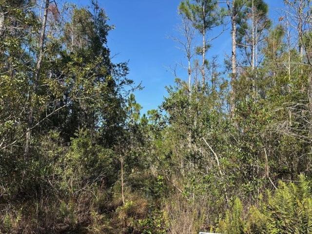 Holopaw Groves Rd, Saint Cloud, FL 34772