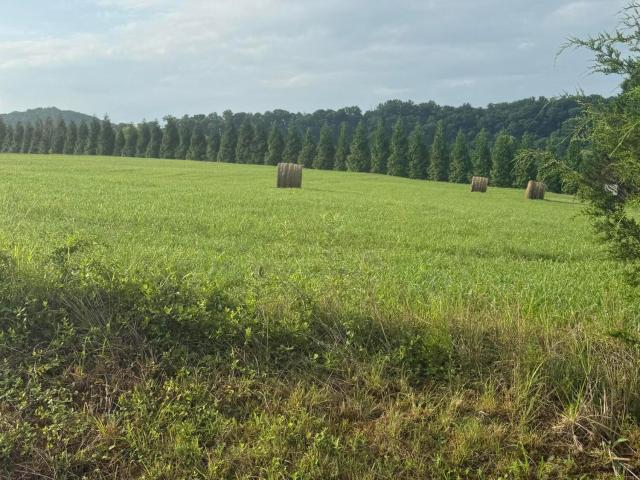 Holston Acres, Rutledge, TN 37861