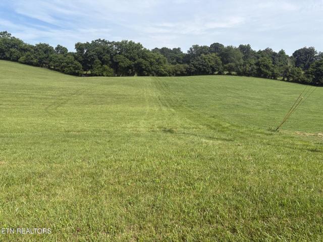 Holston River Drive, Rutledge, TN 37861