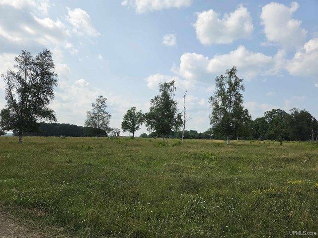 Hope Mine Rd, Crystal Falls, MI 49920