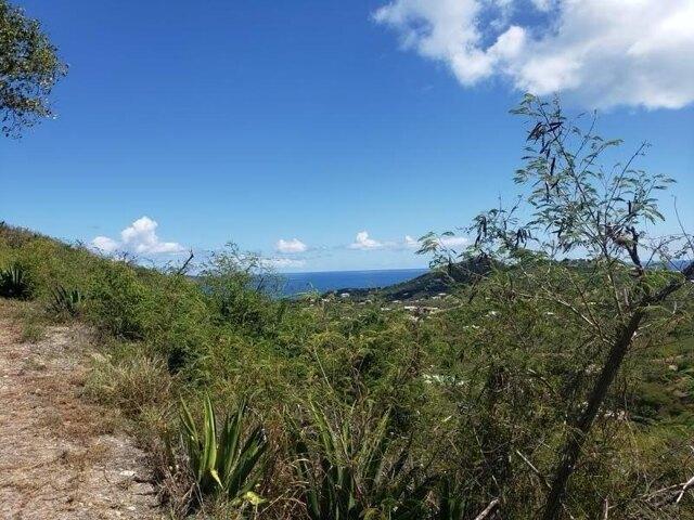 Hope And Carton H Eb, Saint Croix, Plot For Sale