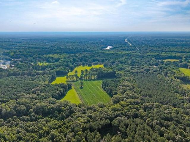 Hope Plantation Ln, Jacksonboro, SC 29452