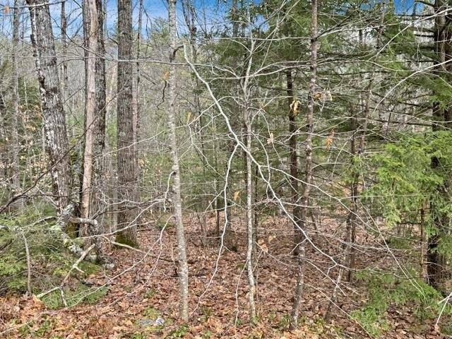 Hopper Rd, Milton, Plot For Sale
