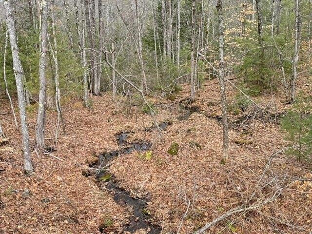 Hopper Rd, Milton, Plot For Sale