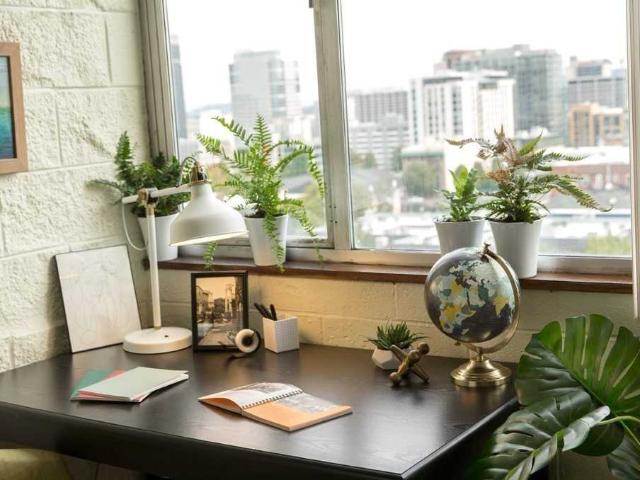 hor300 Studio Apartment for Rent at Goose Hollow Tower, Portland, OR 97201 Downtown Portland