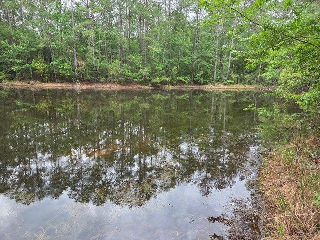 Hortman Ln, Saratoga, TX 77585