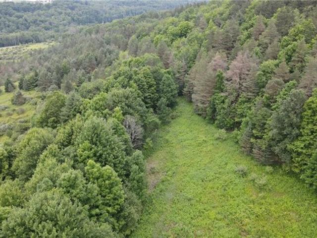 Hornell Reservoir Rd, Hornell, NY 14843