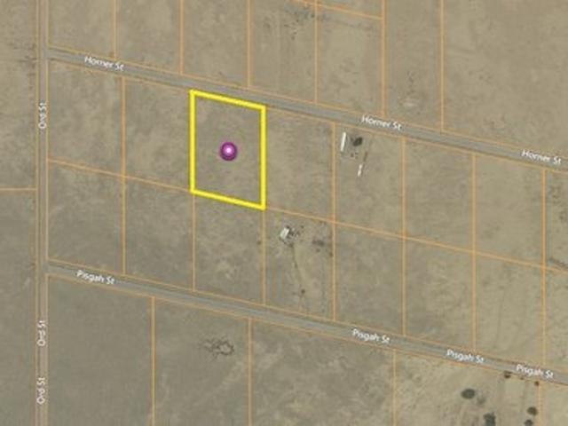 Horner St, Newberry Springs, CA 92365