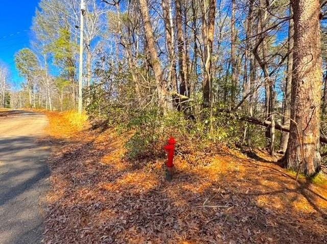 Horse Cove Ct, Jasper, GA 30143