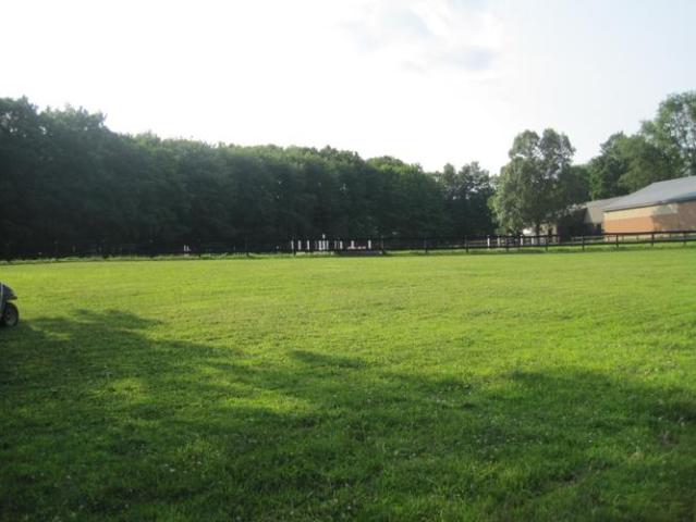 Horse Property