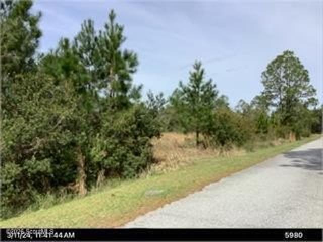 Horseshoe Cv, Waverly, GA 31565