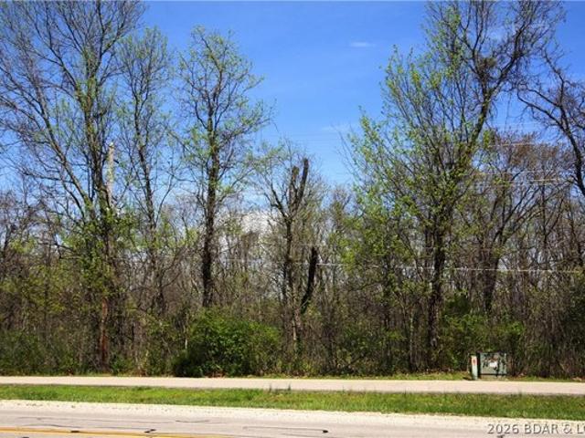 Horseshoe Bend Pkwy Lot 698, Lake Ozark, MO 65049