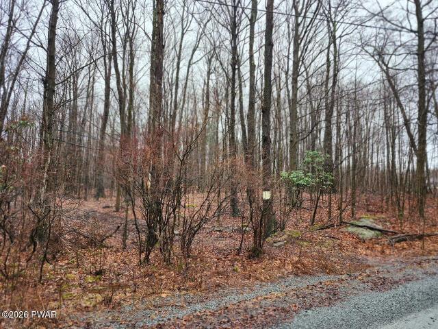 Horseshoe Drive