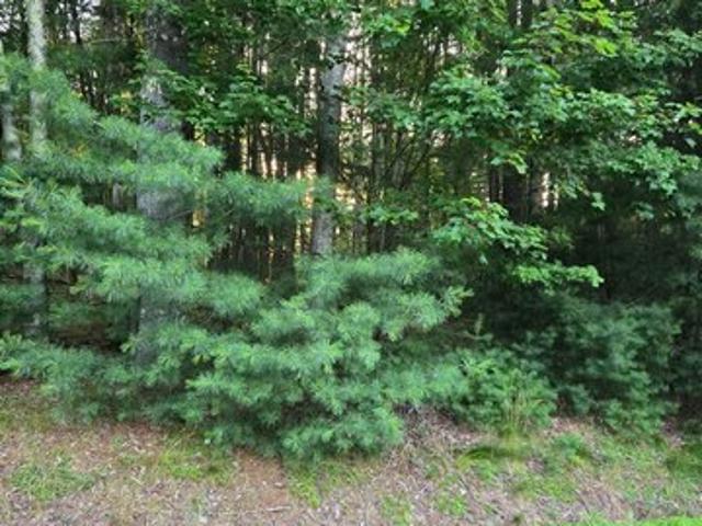 Horseshoe Lake Rd, Bethel, NY 12764