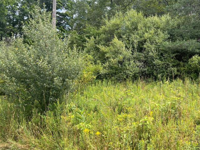 Horseshoe Lake Road