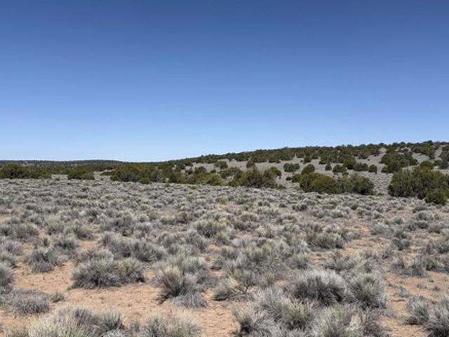 Horseshoe Trail Rd, Quemado, NM 87829