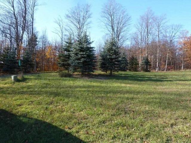 Horseshoe Trail # Unit 17 Horseshoe Meadows Lot: 17
