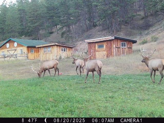 Hot Brook Canyon Rd, Hot Springs, SD 57747