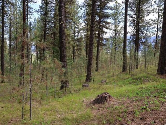 Hot Springs Rd Lot 6, New Meadows, ID 83654