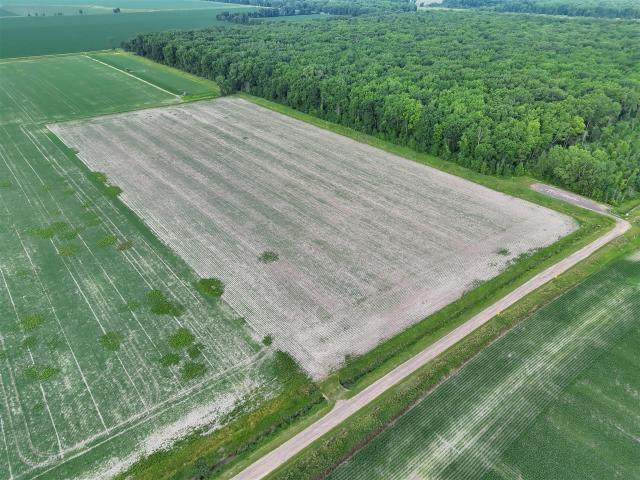 Houlihan Road