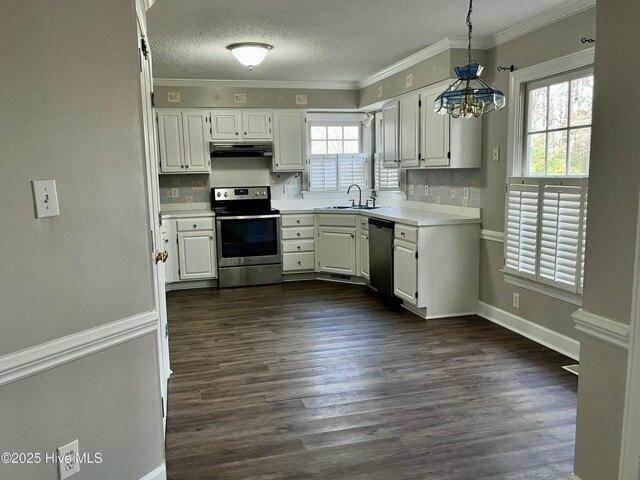 house 4 bedroom, Greenville NC 27858 DS88215939