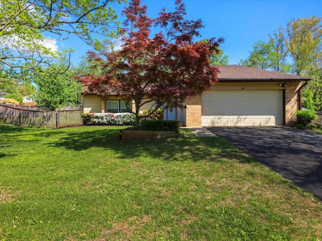 House with garden