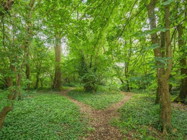 House 6 Bedroom For Sale Dorset Dorset 1100000 ES100615156