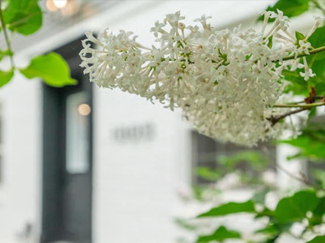 House with garden