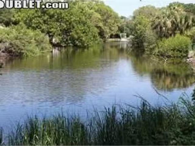House 3 bedrooms in New Smyrna Beach