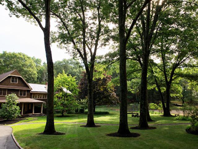 House with garden