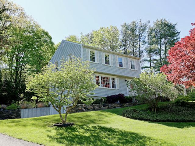 House with garden and terrace