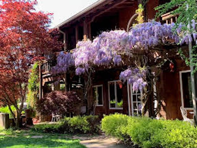 House with garden and terrace