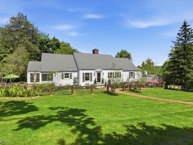 House with garden and terrace