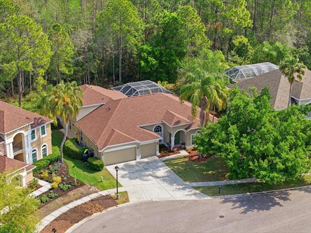 House with pool