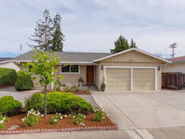 House with pool and terrace