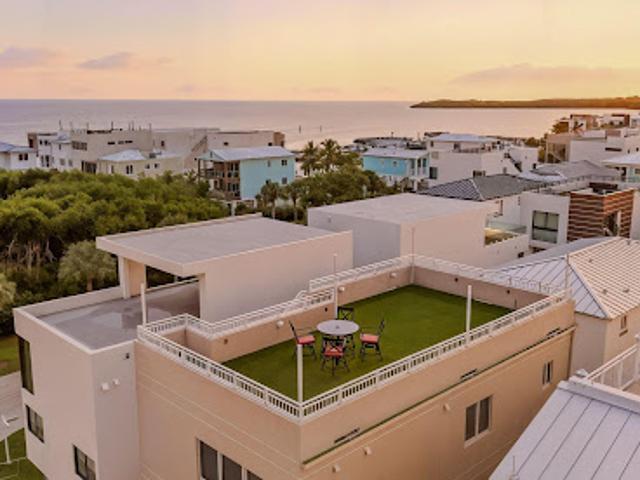 House with pool and terrace