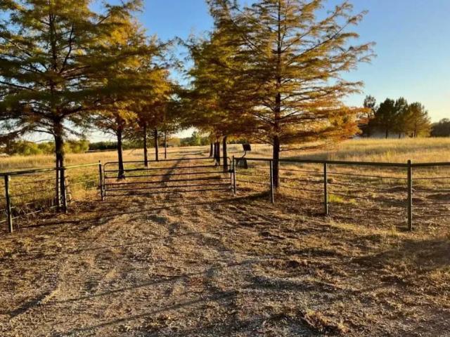 house with 1 bedroom, Tx Tx DS102702225