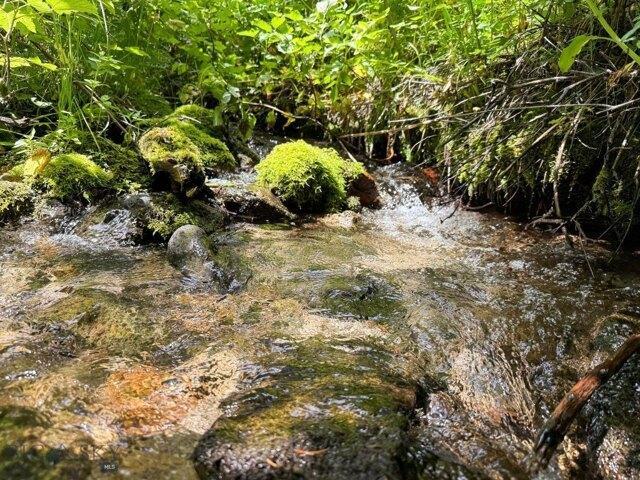 house with 1 bedroom, Boulder MT DLS93300915