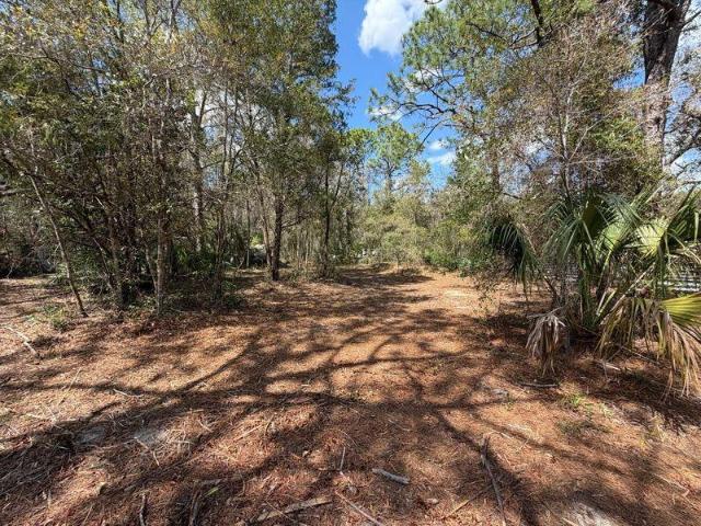 house with 1 bedroom, Crystal River FL DLS100973519