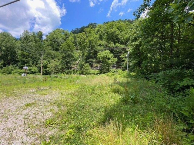 house with 1 bedroom, Eskdale WV ES104900160