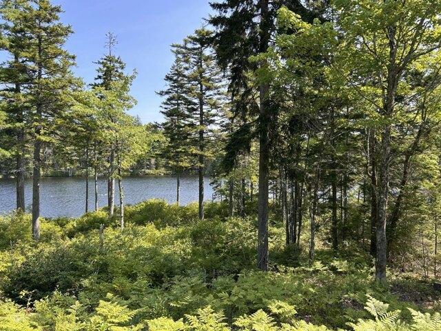 house with 1 bedroom, Marshfield ME ES104852436