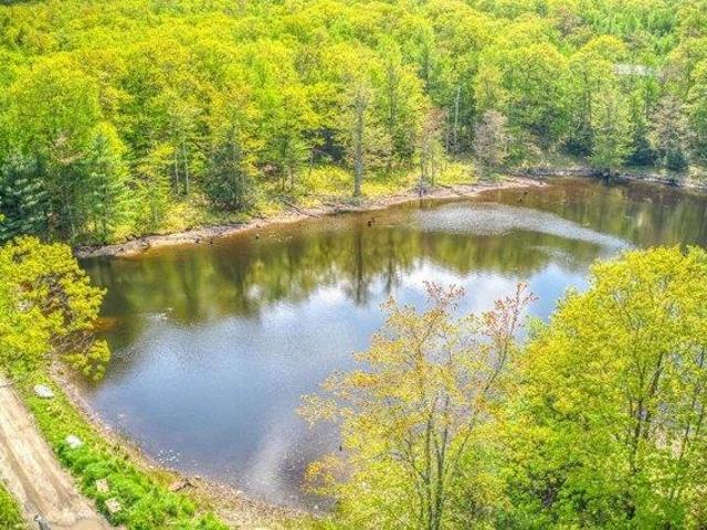 house with 1 bedroom, New Boston NH DS102118697