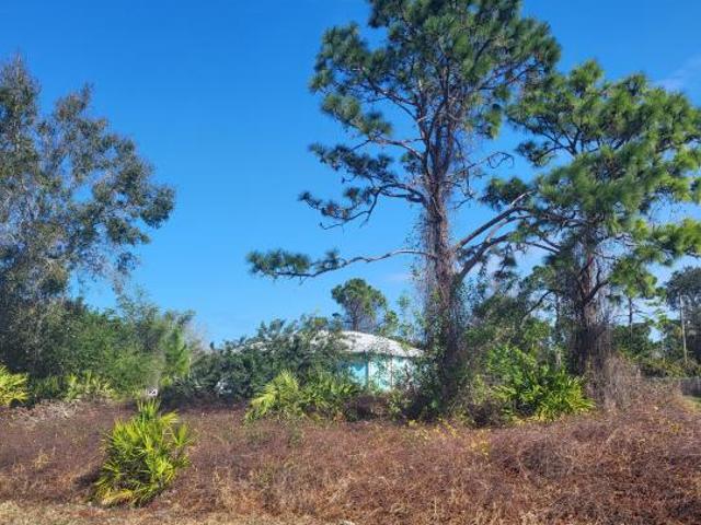 house with 1 bedroom, Palm Bay FL ES78116234